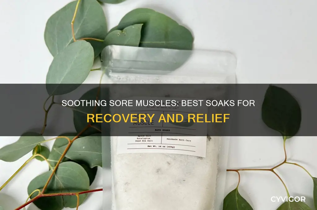 Soothing Sore Muscles: Best Soaks For Recovery And Relief | CyVigor
