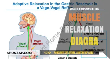 Jacobson Progressive Muscle Relaxation: A Guide To Stress Relief ...