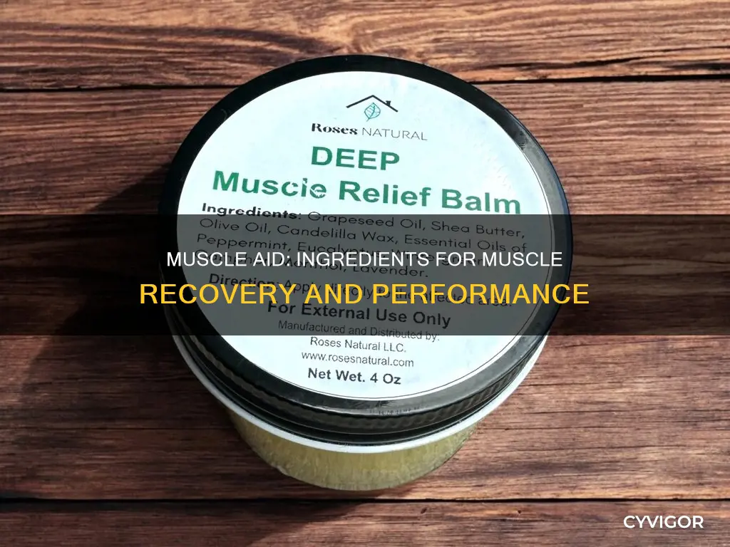 Muscle Aid: Ingredients For Muscle Recovery And Performance | CyVigor