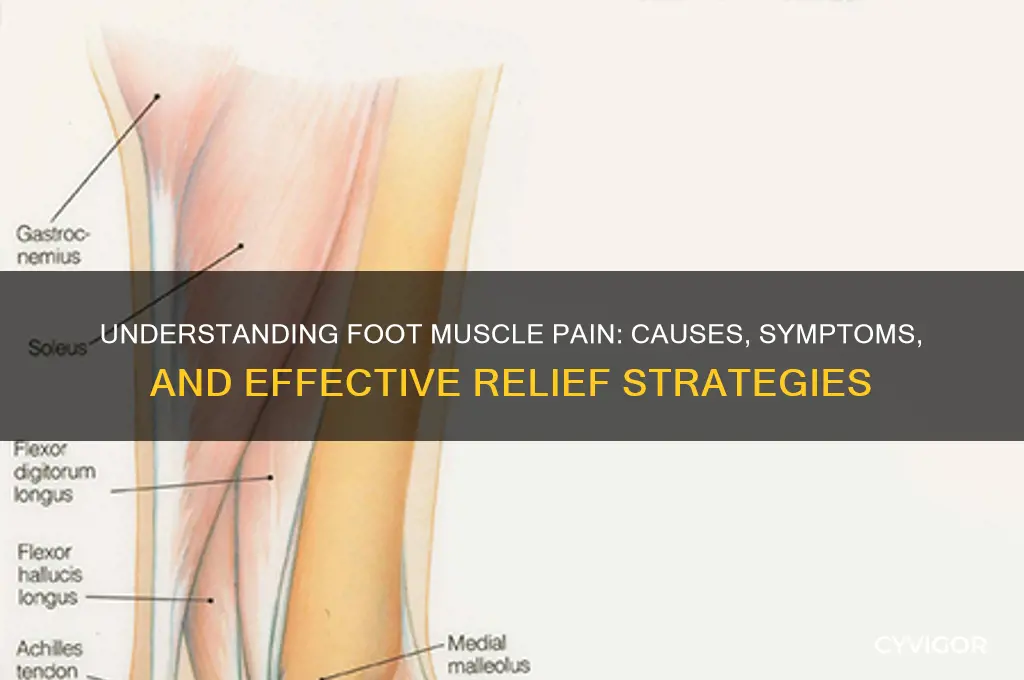 Understanding Foot Muscle Pain: Causes, Symptoms, And Effective Relief ...