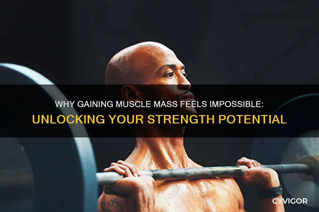 Why Gaining Muscle Mass Feels Impossible: Unlocking Your Strength ...