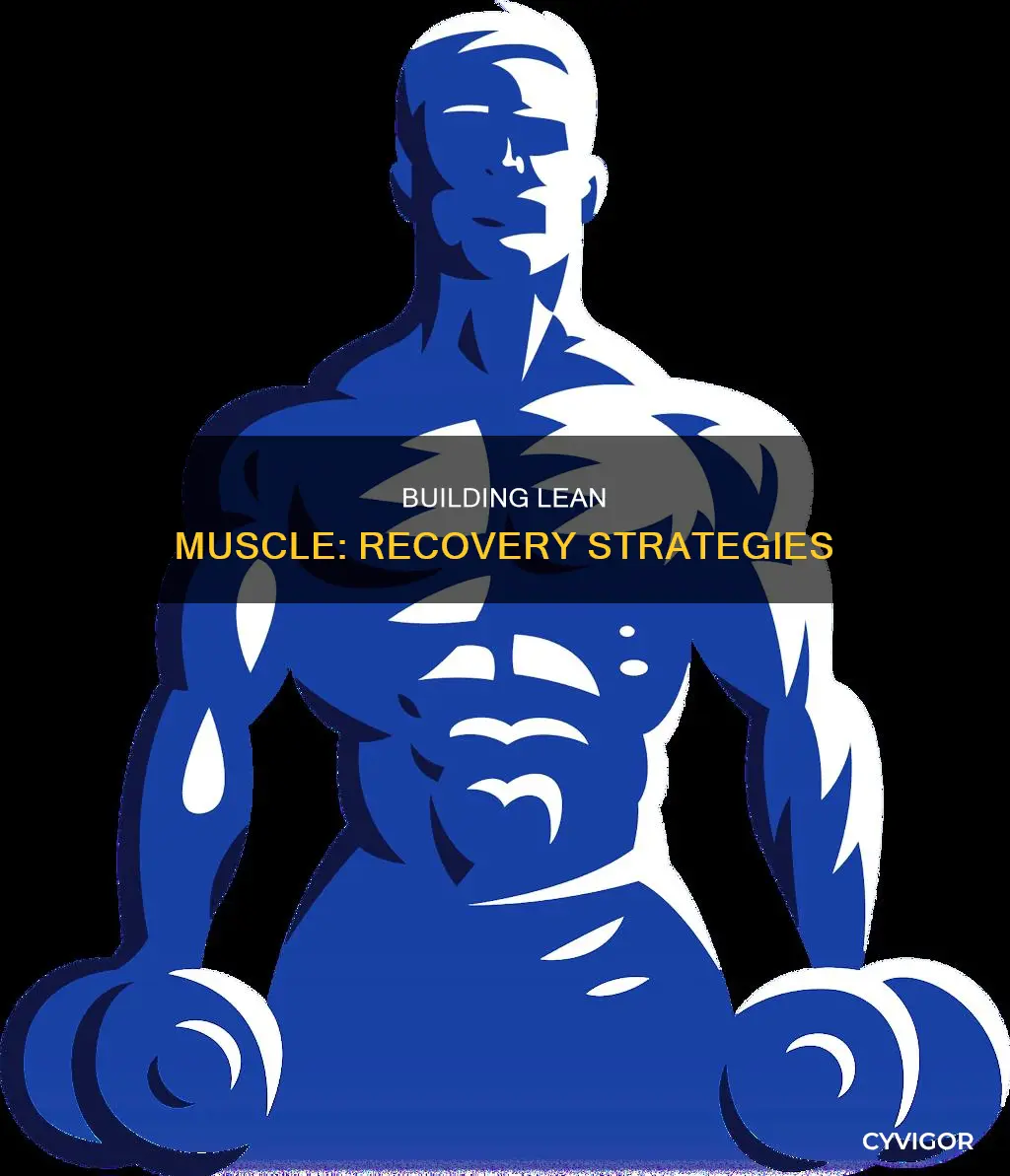 Building Lean Muscle: Recovery Strategies | CyVigor