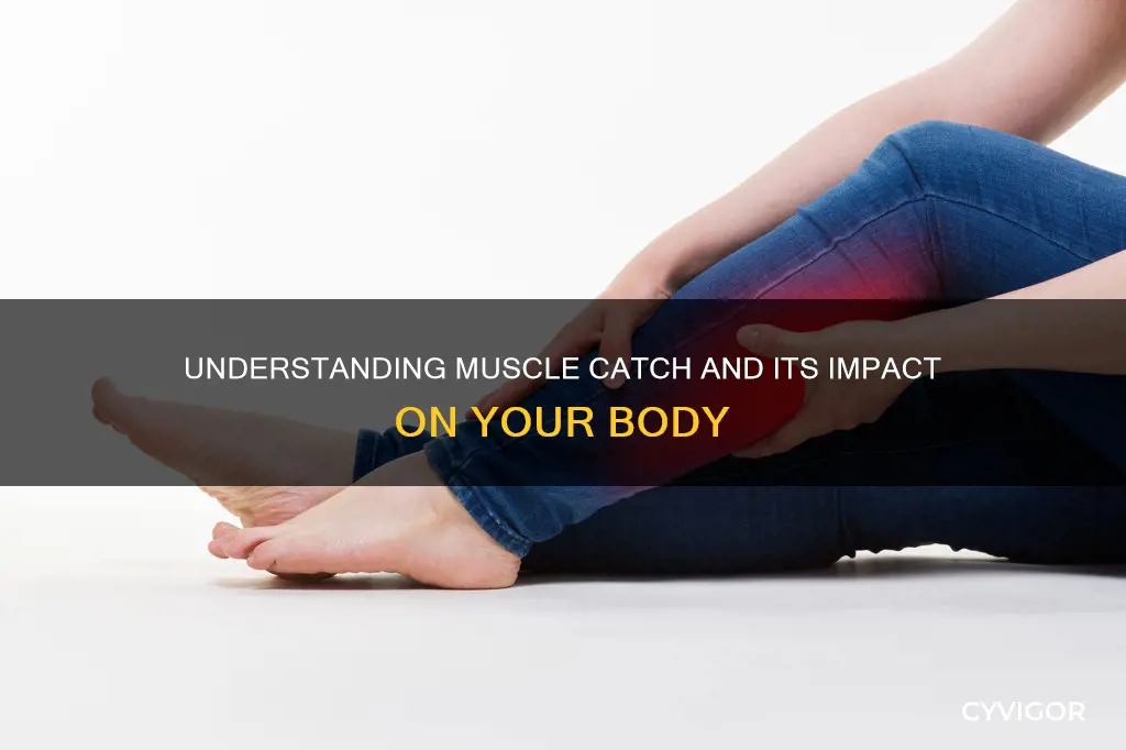 Understanding Muscle Catch And Its Impact On Your Body | CyVigor