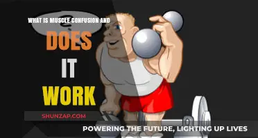Understanding Sling Muscles: Function, Benefits, And Effective Workout ...