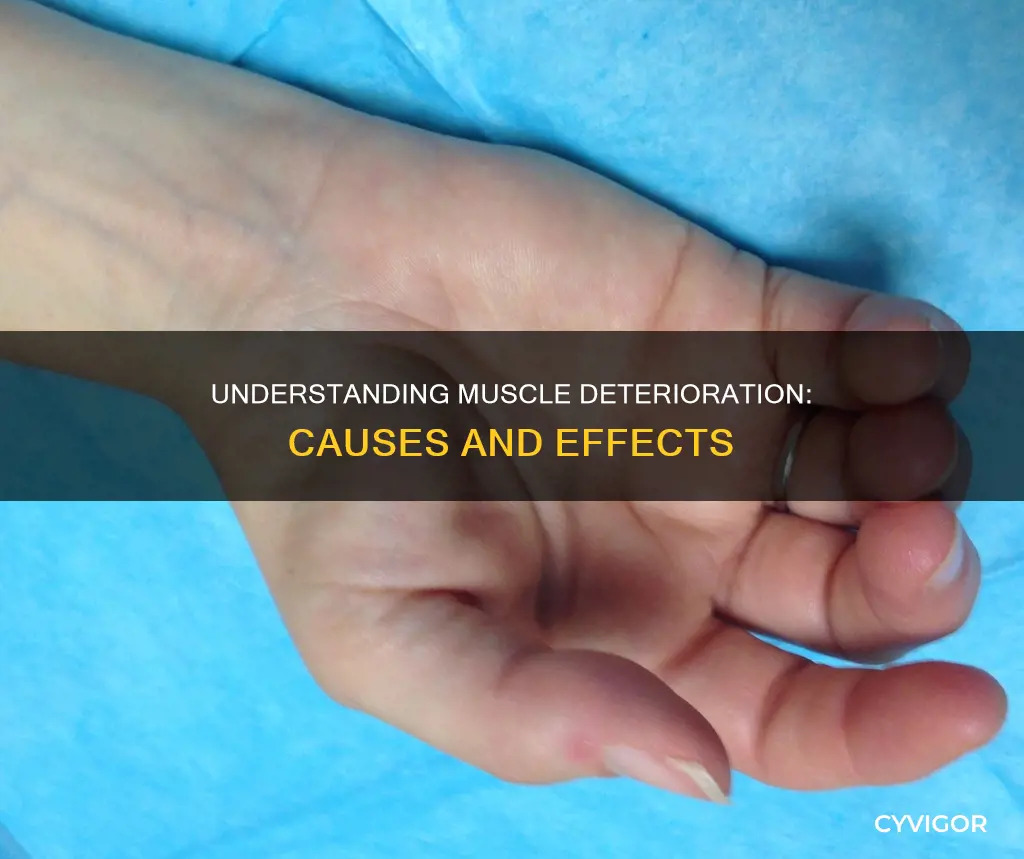 Understanding Muscle Deterioration: Causes And Effects | CyVigor