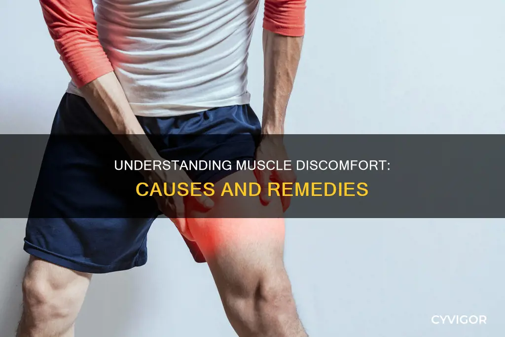 Understanding Muscle Discomfort: Causes And Remedies | CyVigor