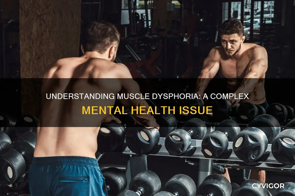 Understanding Muscle Dysphoria: A Complex Mental Health Issue | CyVigor