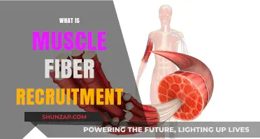 Understanding Muscle Force Couples: The Power Of Opposites | CyVigor