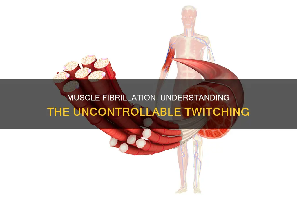 Muscle Fibrillation: Understanding The Uncontrollable Twitching | CyVigor