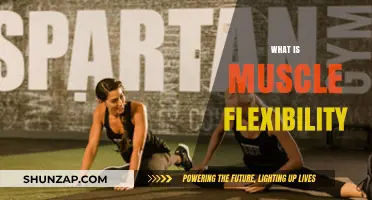 Understanding Muscle Girth: Building A Powerful Physique | CyVigor