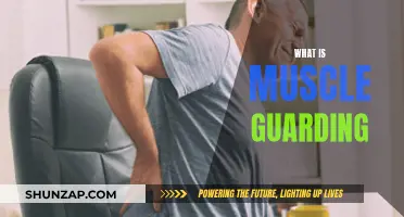 Fixator Muscles: Their Role And Importance In Human Movement | CyVigor