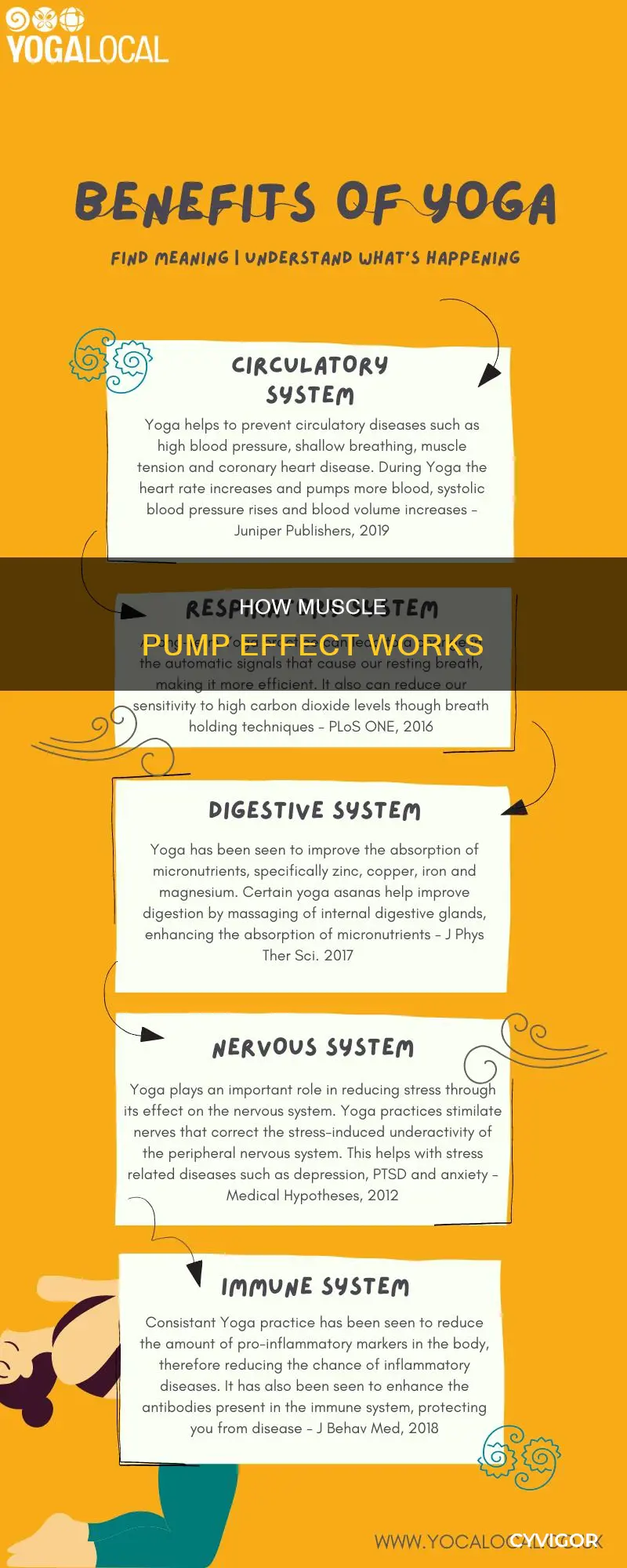 How Muscle Pump Effect Works | CyVigor