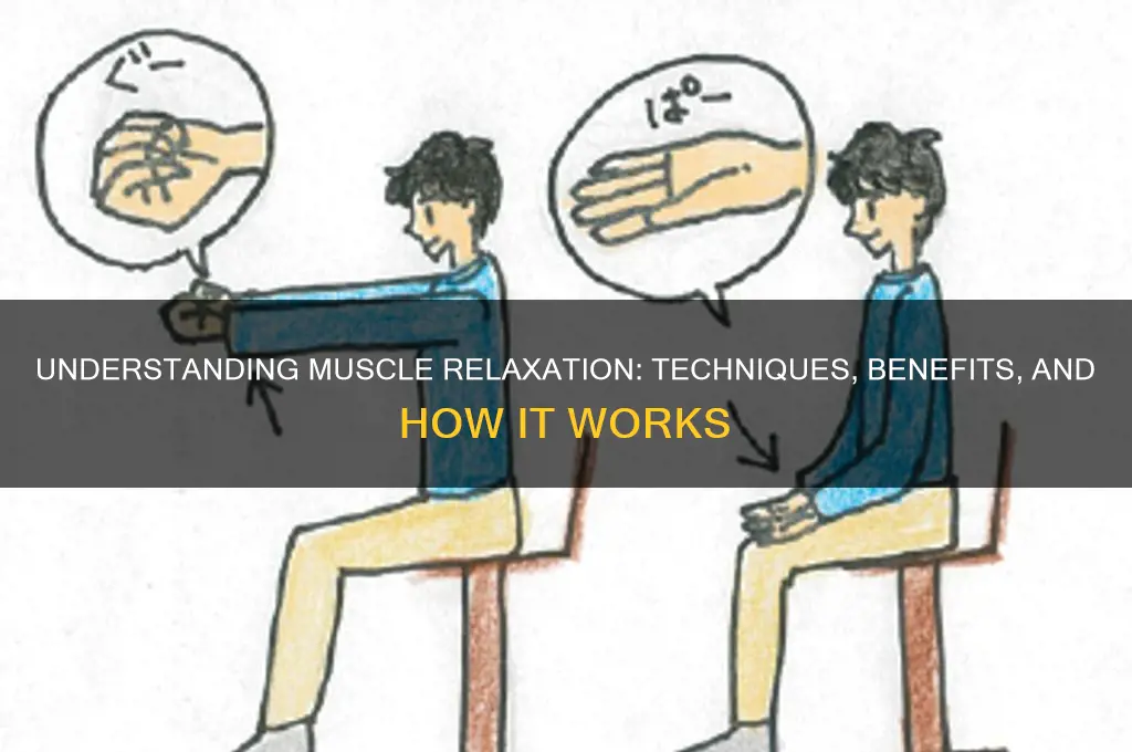 Understanding Muscle Relaxation: Techniques, Benefits, And How It Works ...