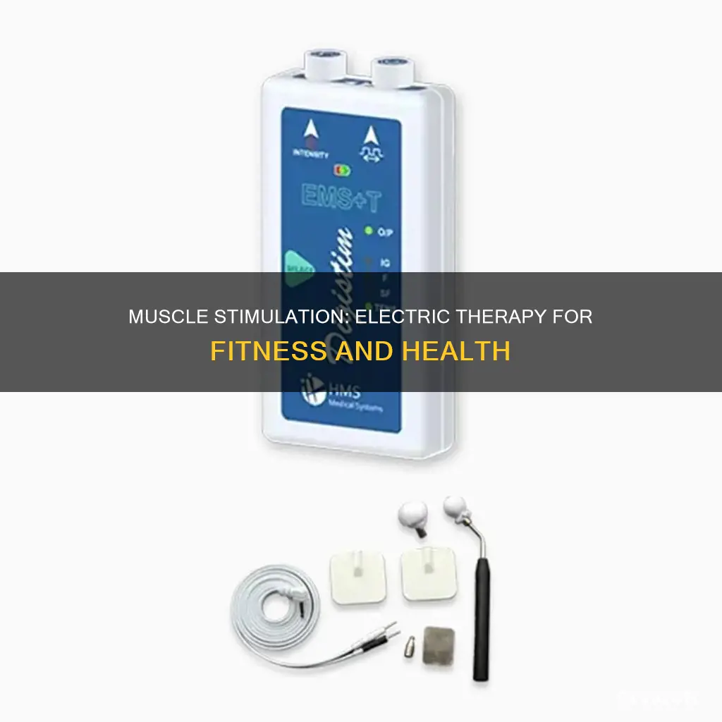 Muscle Stimulation: Electric Therapy For Fitness And Health | CyVigor