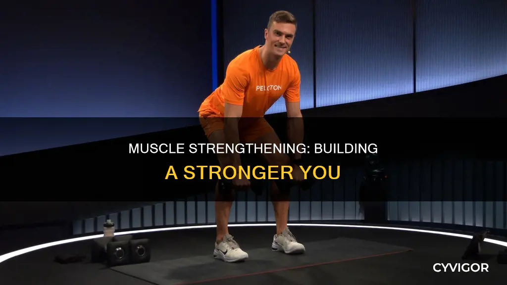 Muscle Strengthening: Building A Stronger You | CyVigor