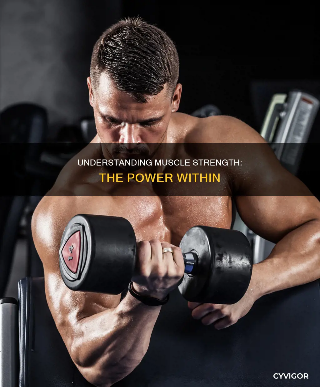 Understanding Muscle Strength: The Power Within | CyVigor