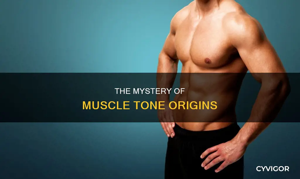 The Mystery Of Muscle Tone Origins | CyVigor
