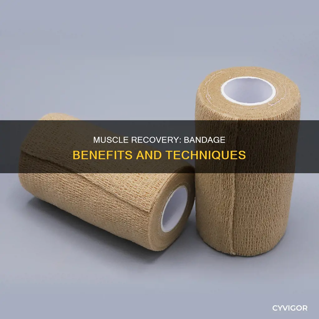 Muscle Recovery: Bandage Benefits And Techniques | CyVigor