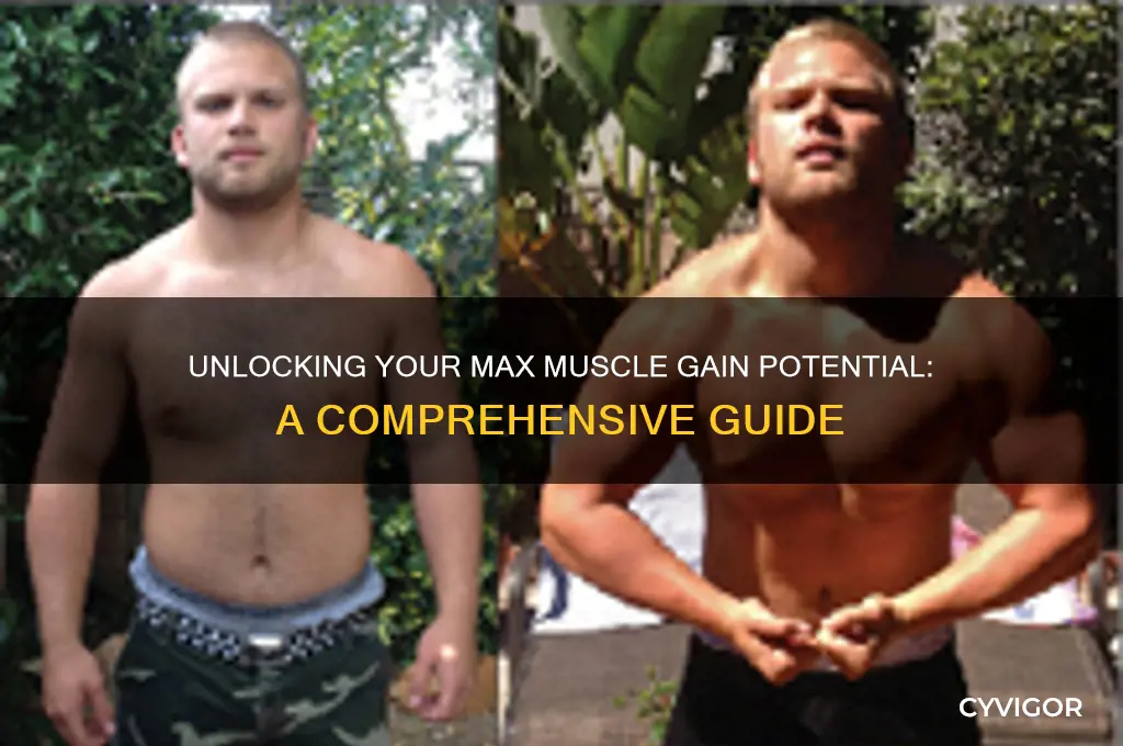 Unlocking Your Max Muscle Gain Potential: A Comprehensive Guide | CyVigor