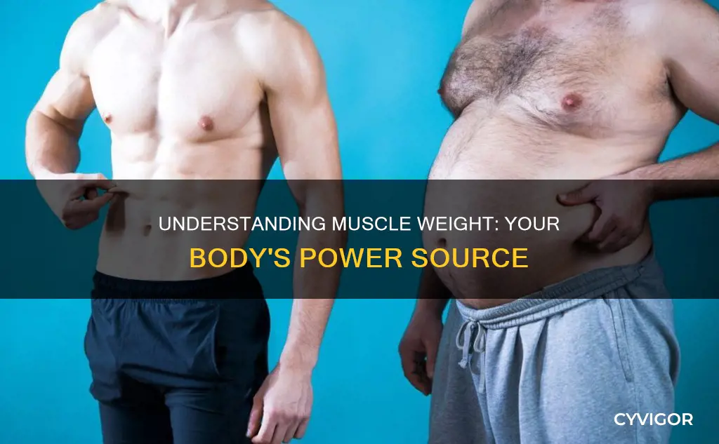 Understanding Muscle Weight: Your Body's Power Source | CyVigor