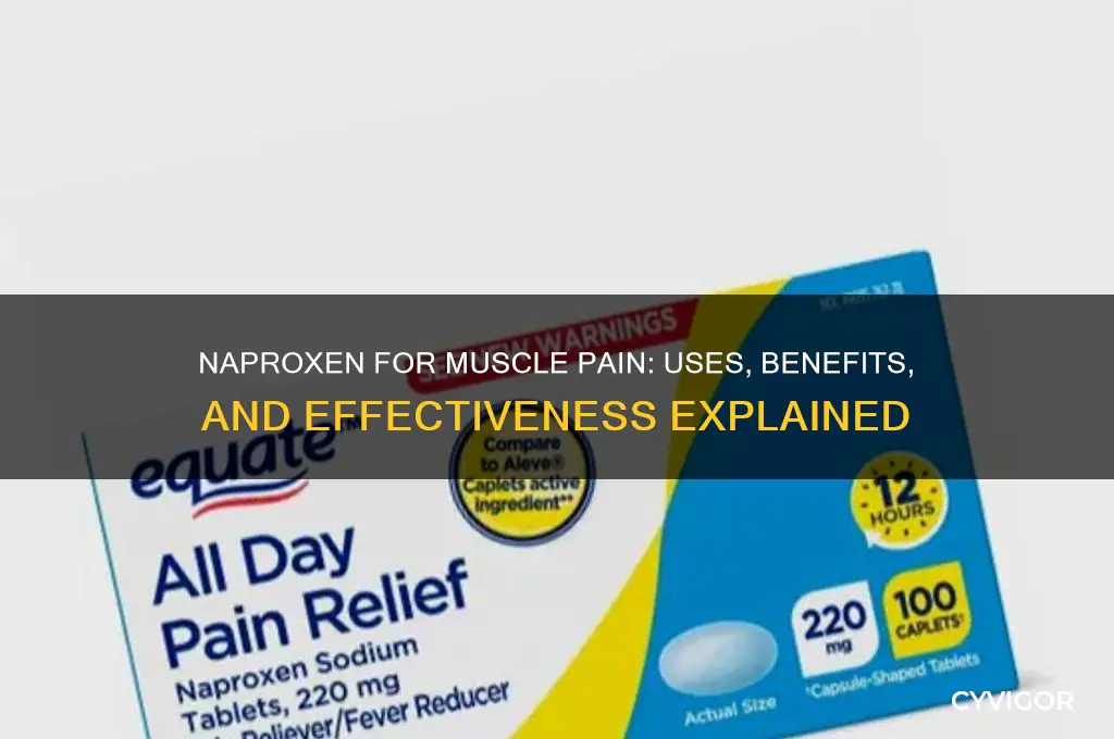 Naproxen For Muscle Pain: Uses, Benefits, And Effectiveness Explained ...