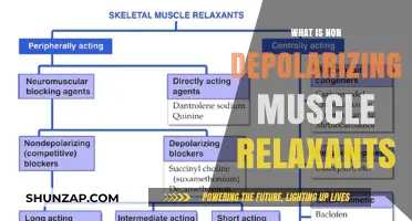 Understanding Muscle Relaxers: Common Names And Their Uses Explained ...