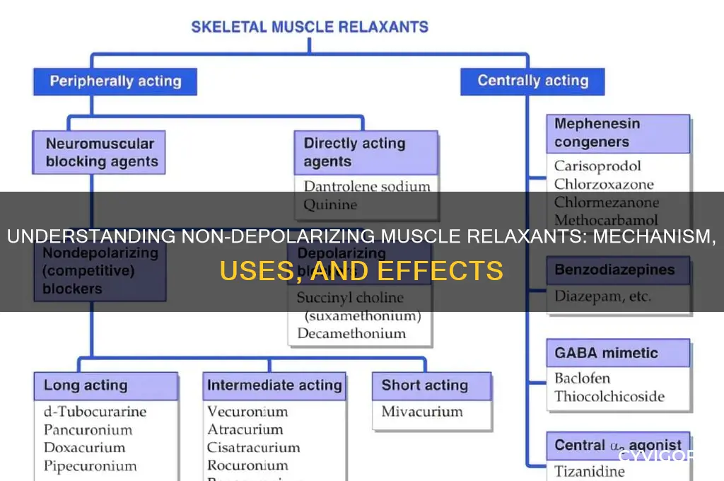 Understanding Non-Depolarizing Muscle Relaxants: Mechanism, Uses, And ...
