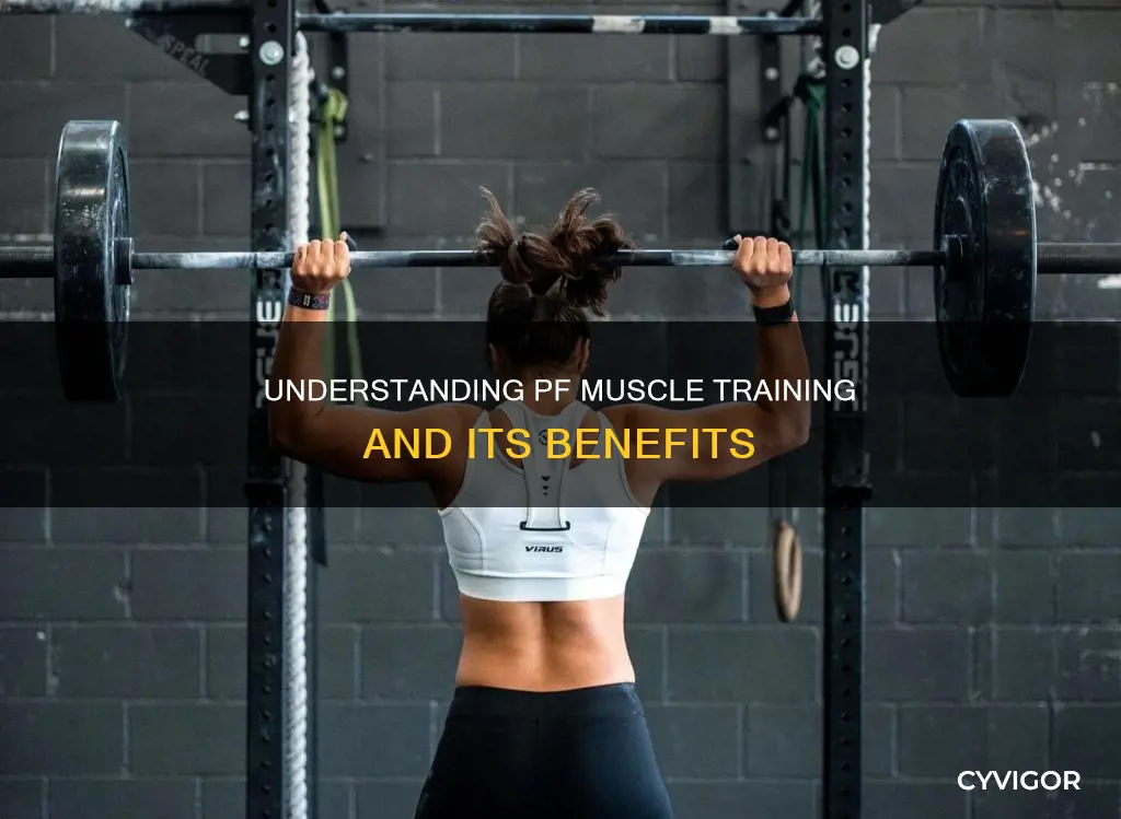 Understanding Pf Muscle Training And Its Benefits | CyVigor
