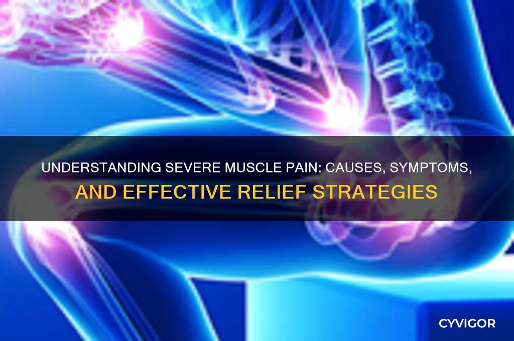 Understanding Severe Muscle Pain: Causes, Symptoms, And Effective ...