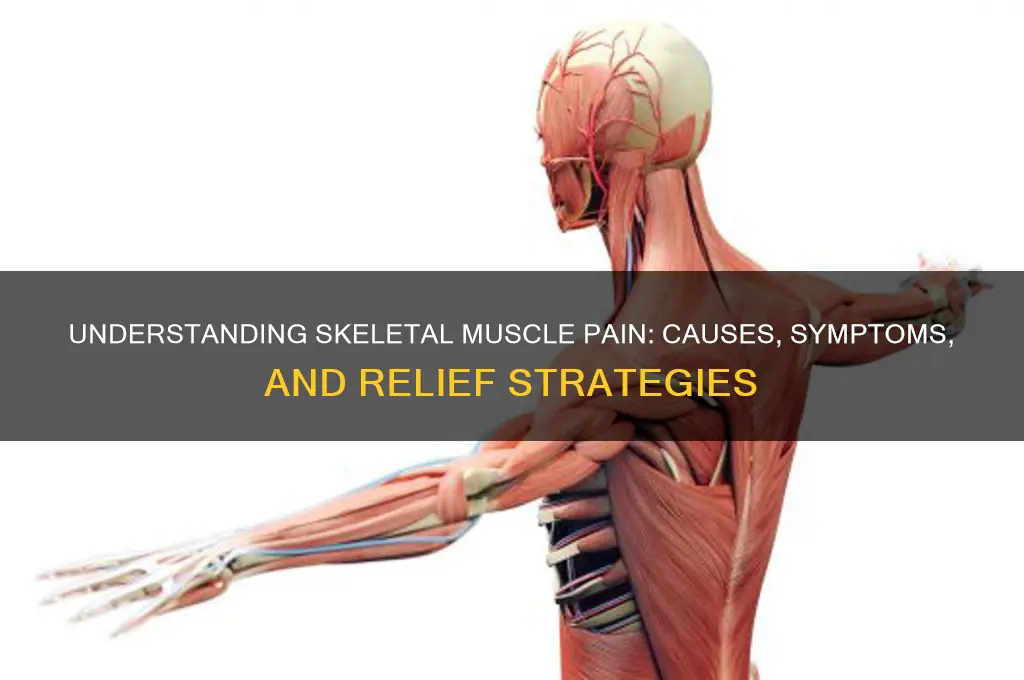 Understanding Skeletal Muscle Pain: Causes, Symptoms, And Relief ...