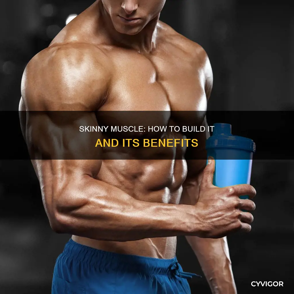 Skinny Muscle: How To Build It And Its Benefits | CyVigor