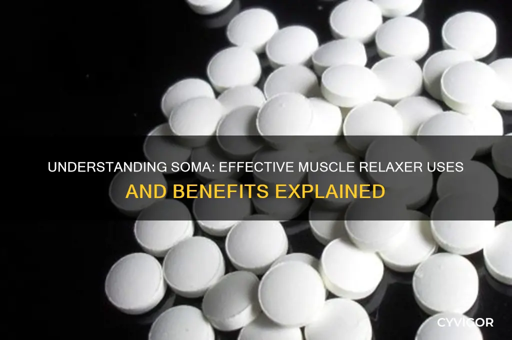 Understanding Soma: Effective Muscle Relaxer Uses And Benefits ...