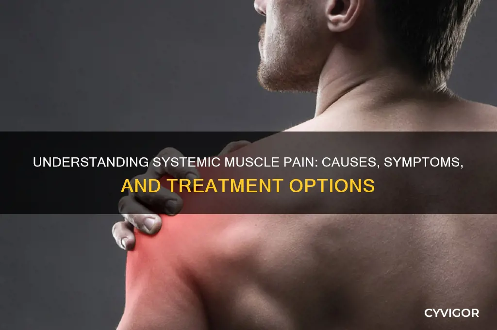 Understanding Systemic Muscle Pain: Causes, Symptoms, And Treatment ...