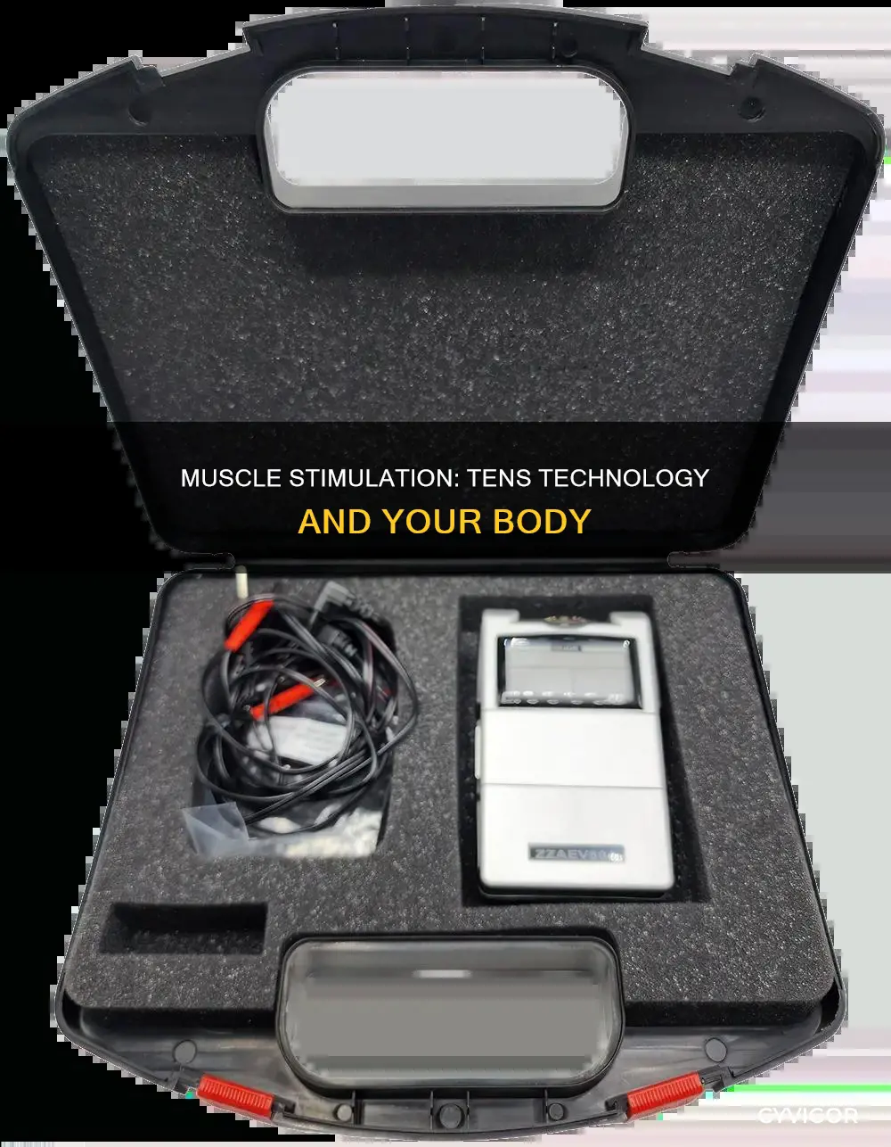 Muscle Stimulation: Tens Technology And Your Body | CyVigor