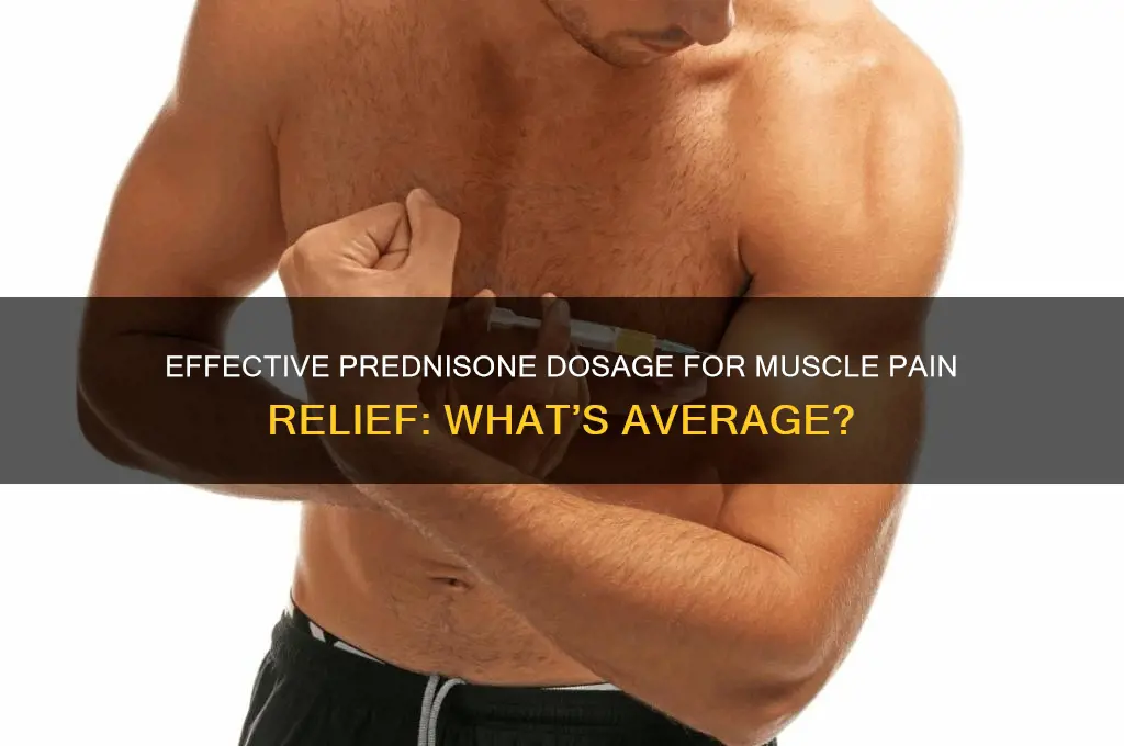 Effective Prednisone Dosage For Muscle Pain Relief: What’S Average ...