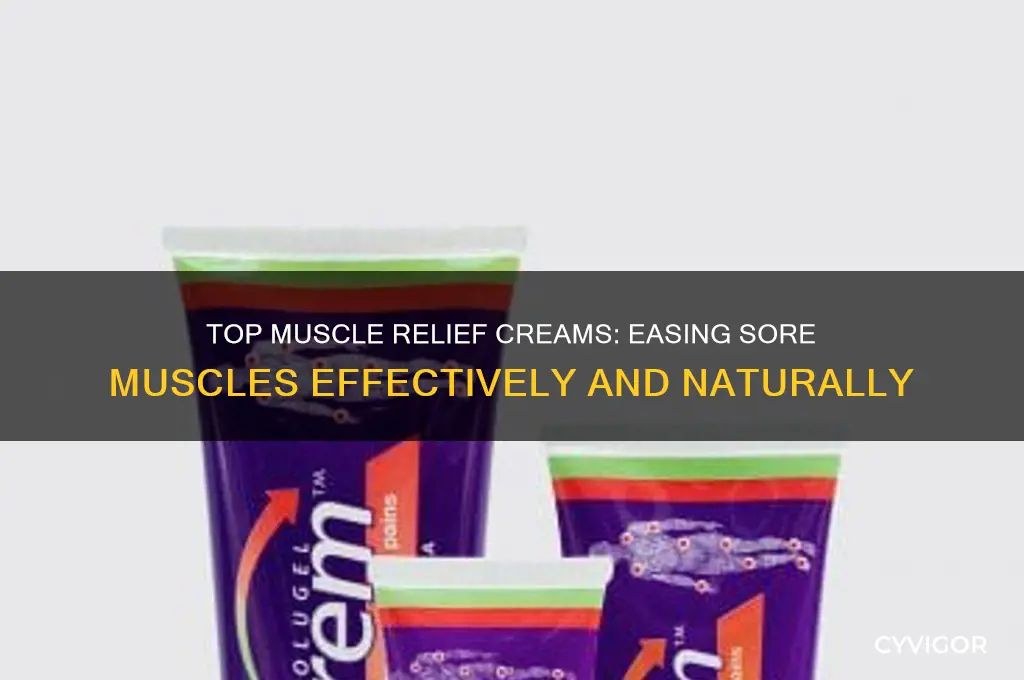 Top Muscle Relief Creams: Easing Sore Muscles Effectively And Naturally ...