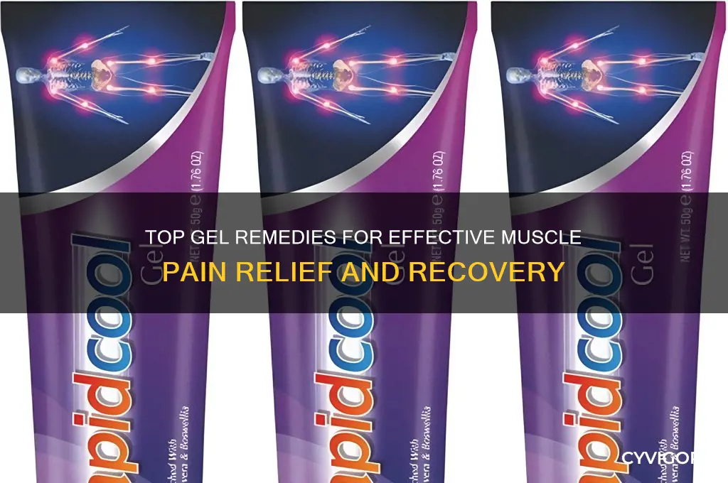 Top Gel Remedies For Effective Muscle Pain Relief And Recovery | CyVigor