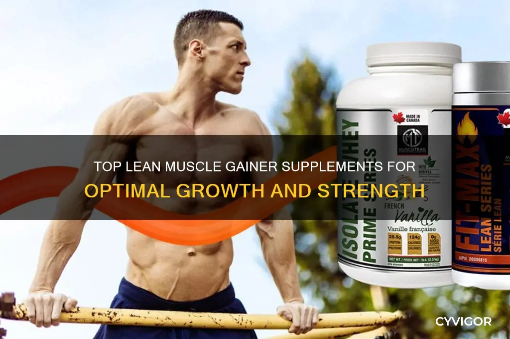 Top Lean Muscle Gainer Supplements For Optimal Growth And Strength ...