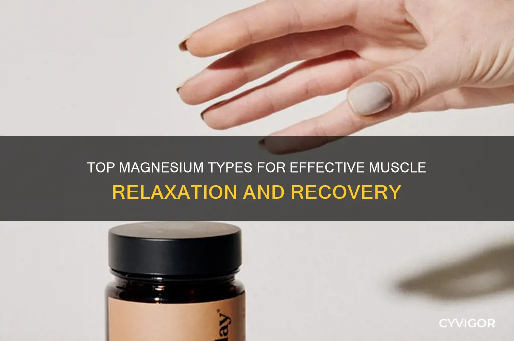 Top Magnesium Types For Effective Muscle Relaxation And Recovery | CyVigor