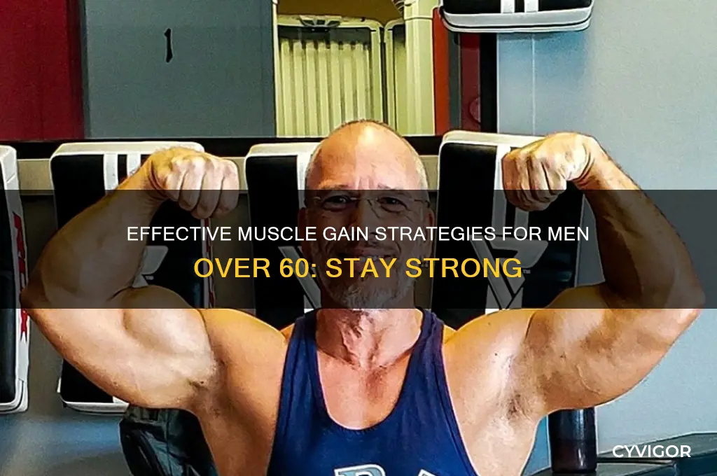 Effective Muscle Gain Strategies For Men Over 60: Stay Strong | CyVigor