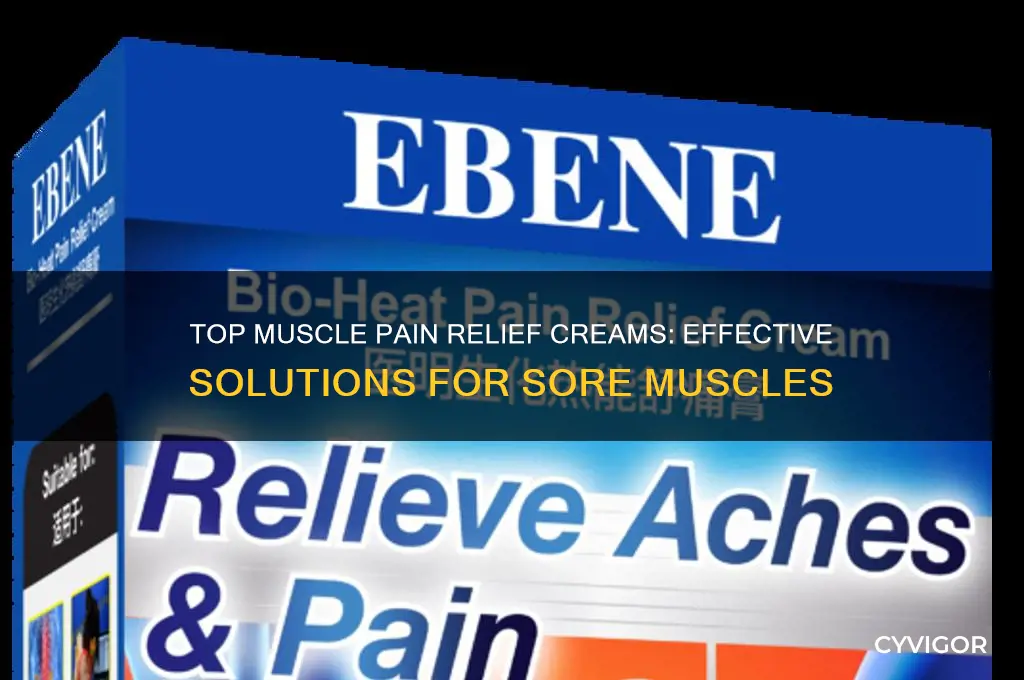 Top Muscle Pain Relief Creams: Effective Solutions For Sore Muscles ...
