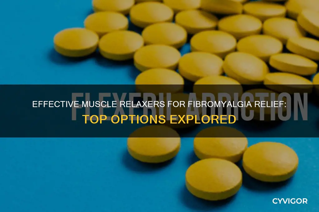 Effective Muscle Relaxers For Fibromyalgia Relief: Top Options Explored ...