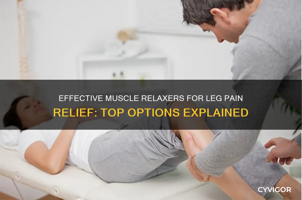 Effective Muscle Relaxers For Leg Pain Relief: Top Options Explained ...