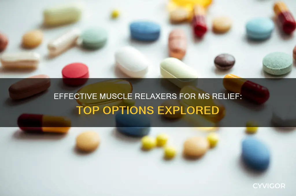 Effective Muscle Relaxers For Ms Relief: Top Options Explored | CyVigor