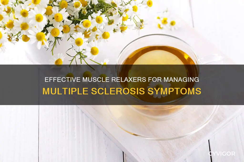 Effective Muscle Relaxers For Managing Multiple Sclerosis Symptoms ...