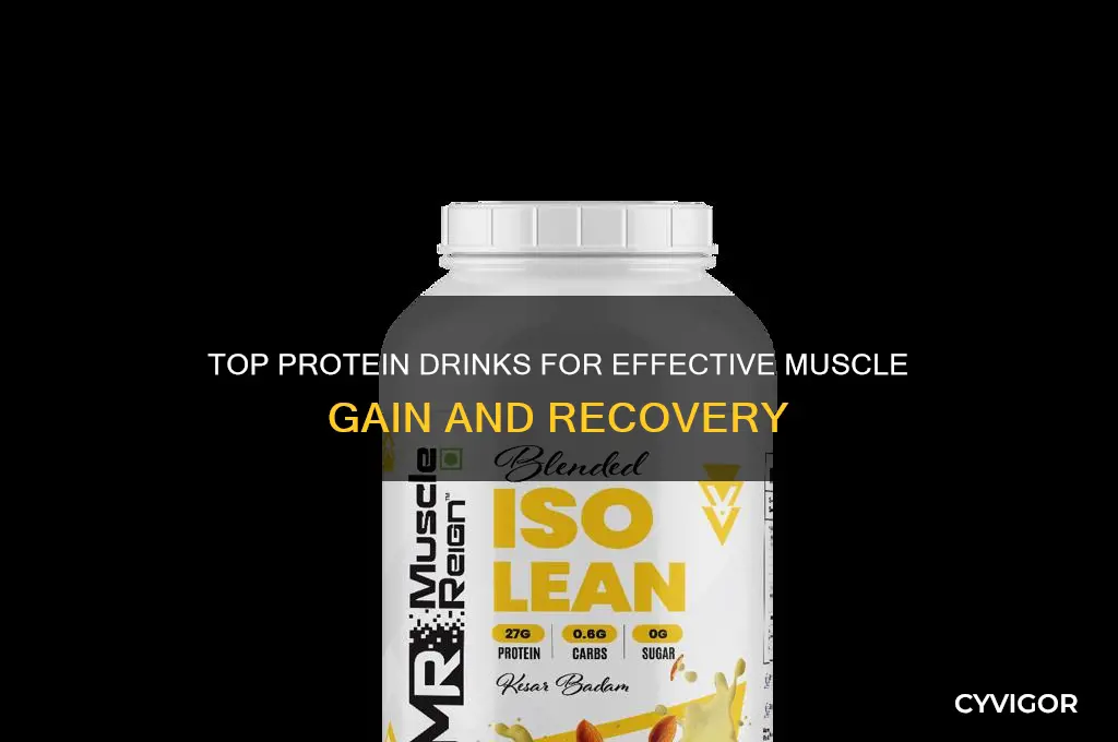 Top Protein Drinks For Effective Muscle Gain And Recovery | CyVigor