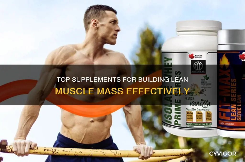 Top Supplements For Building Lean Muscle Mass Effectively | CyVigor