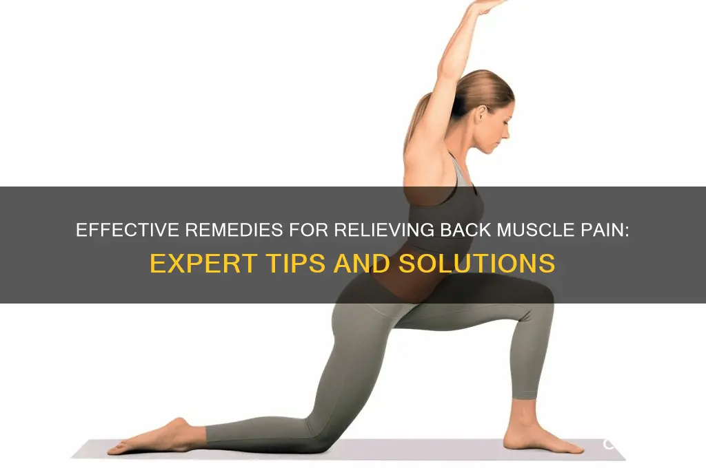 Effective Remedies For Relieving Back Muscle Pain: Expert Tips And ...