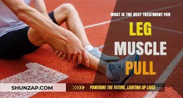Pulled Groin Muscle Recovery: Understanding Healing Time And ...