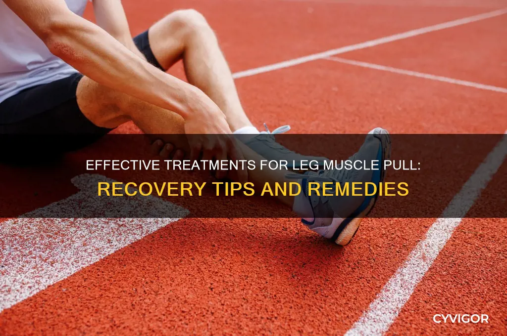 Effective Treatments For Leg Muscle Pull: Recovery Tips And Remedies ...